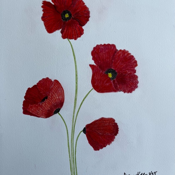Art | Red Poppy Art Print | Poshmark